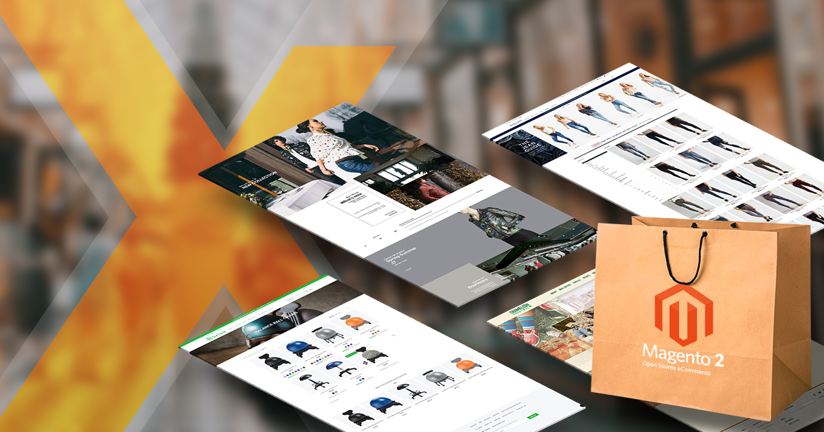 15 Magento 2 Store Examples | Mageworx Blog