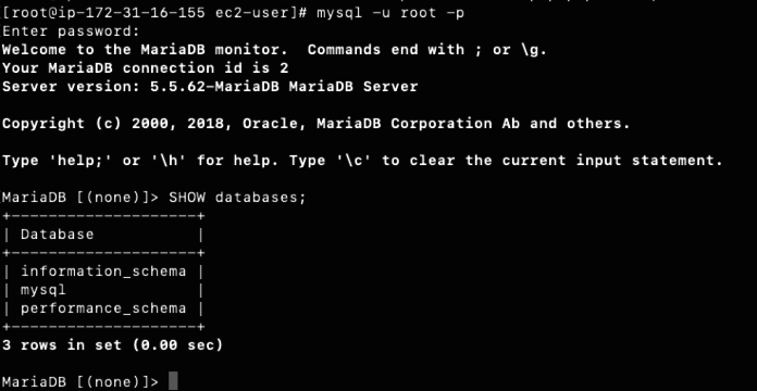 How to Transfer Magento 2 Site from Localhost to Server? | Mageworx Blog