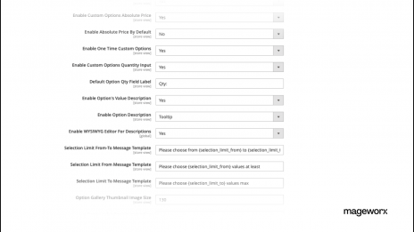 磊 Magento 2 Product Options Suite | Magento 2 Custom Option Extension - Mageworx